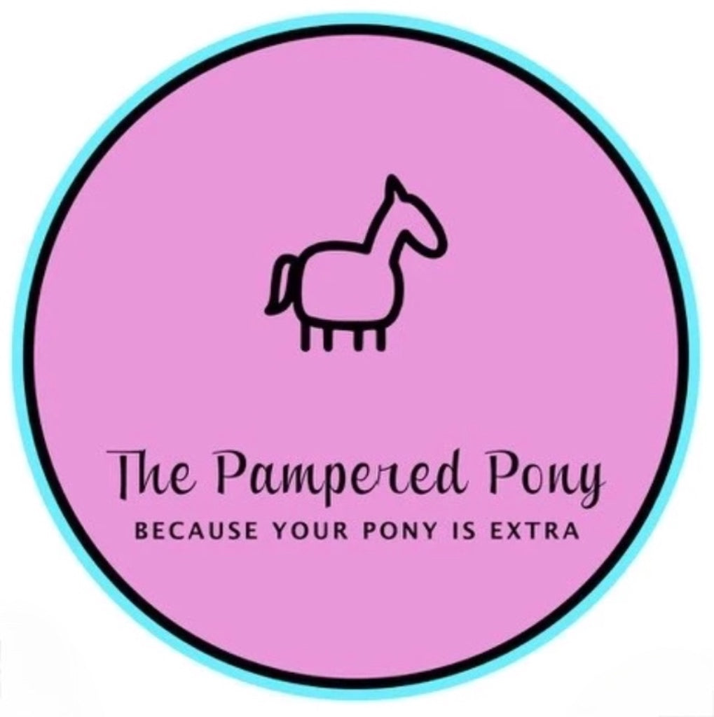 Pampered Pony – Arlo Eq